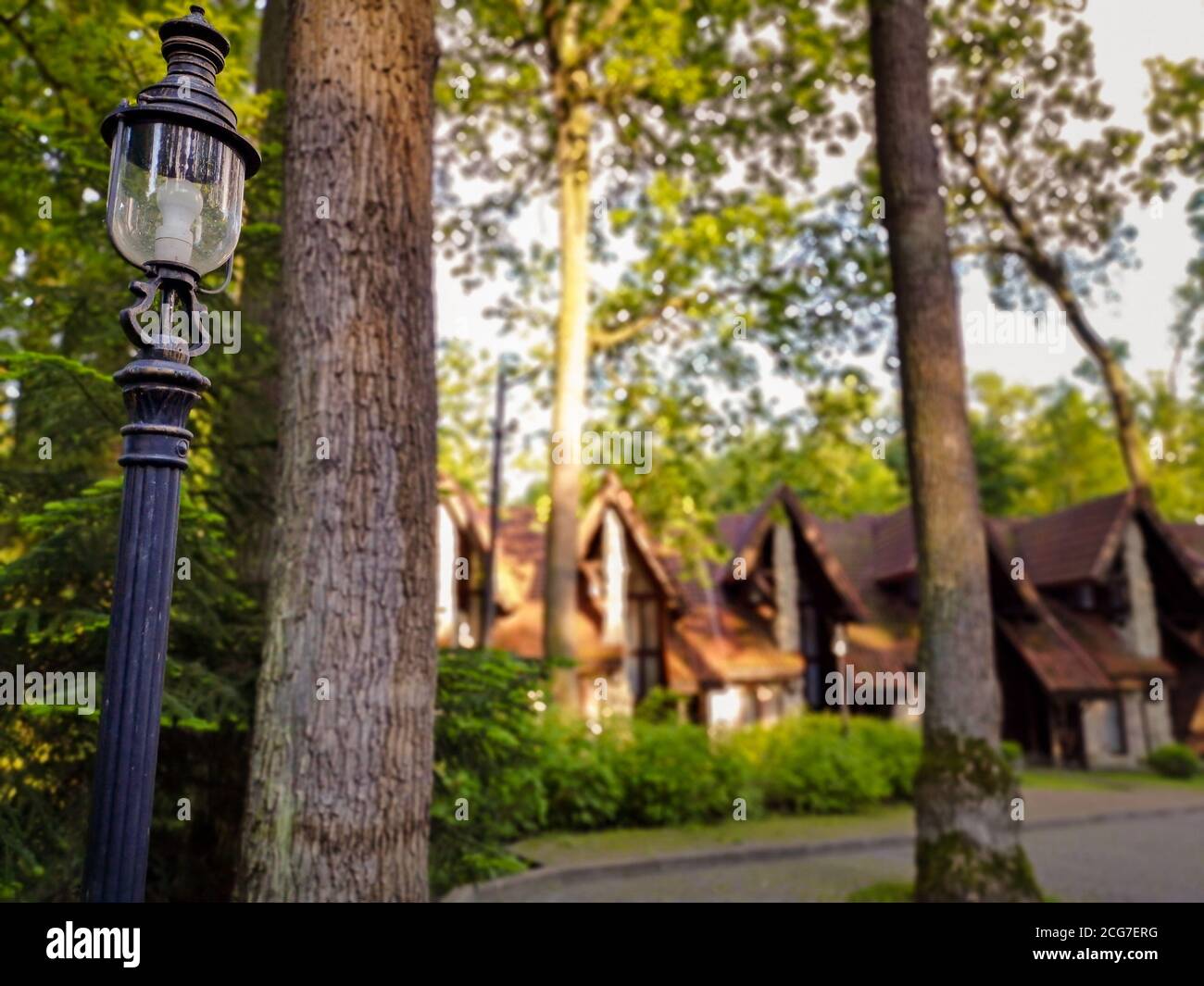 Laterne am baumstamm -Fotos und -Bildmaterial in hoher Auflösung – Alamy