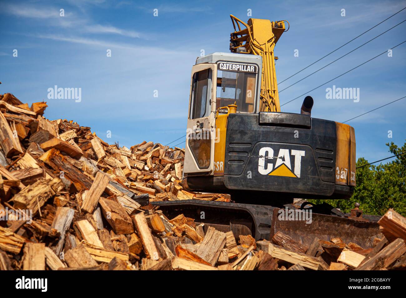 Cat bagger -Fotos und -Bildmaterial in hoher Auflösung – Alamy