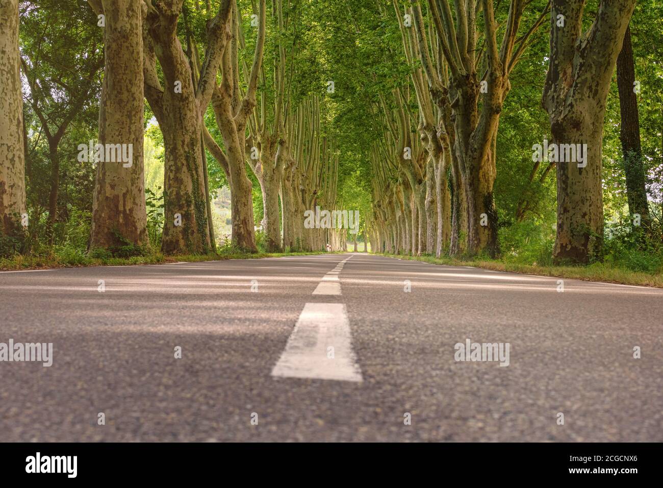 Empty Alley Stockfotos und -bilder Kaufen - Alamy