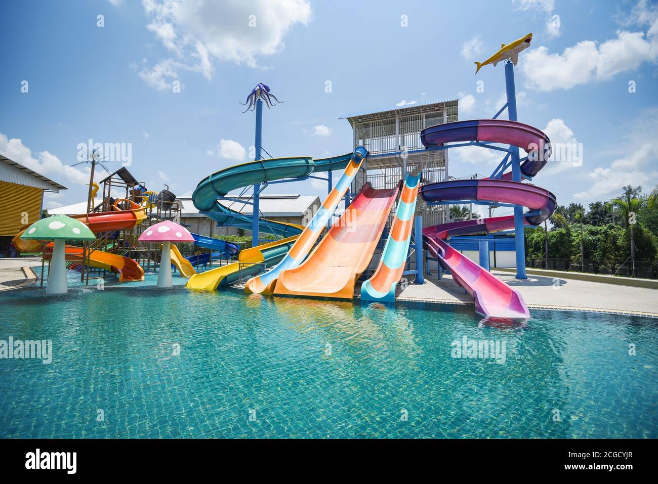 Wasserpark Rutsche mit Schwimmbad im Vergnügungspark / Farbige ...