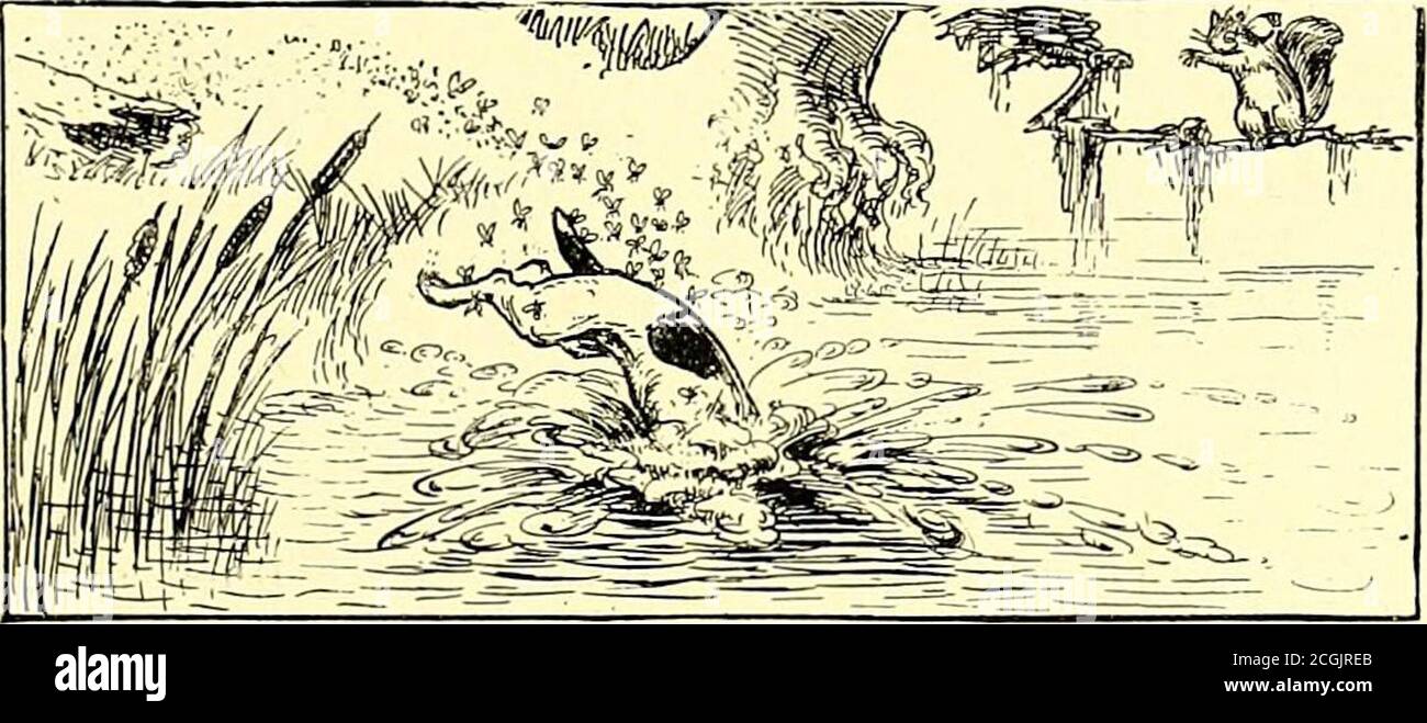 Der fuchs ohne geschichte -Fotos und -Bildmaterial in hoher Auflösung ...