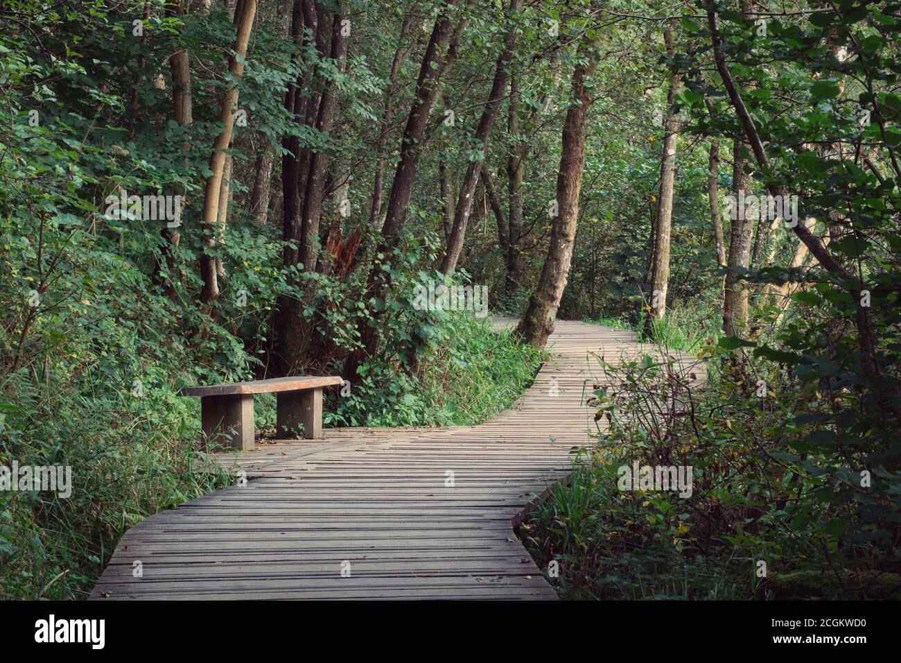 Holzbank Hintergrund Stockfotos und -bilder Kaufen - Alamy