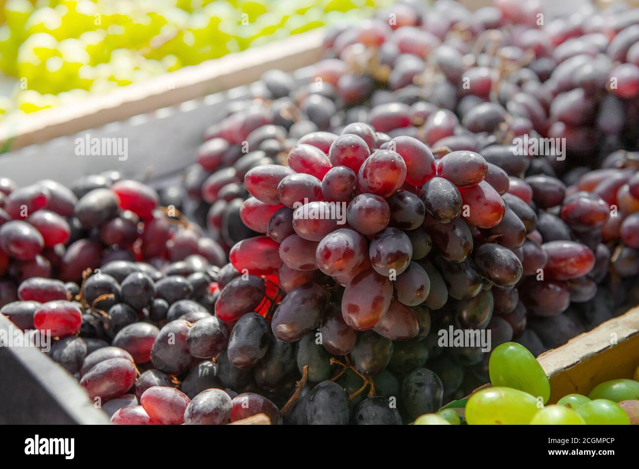 Cluster Frucht Stockfotos und -bilder Kaufen - Alamy