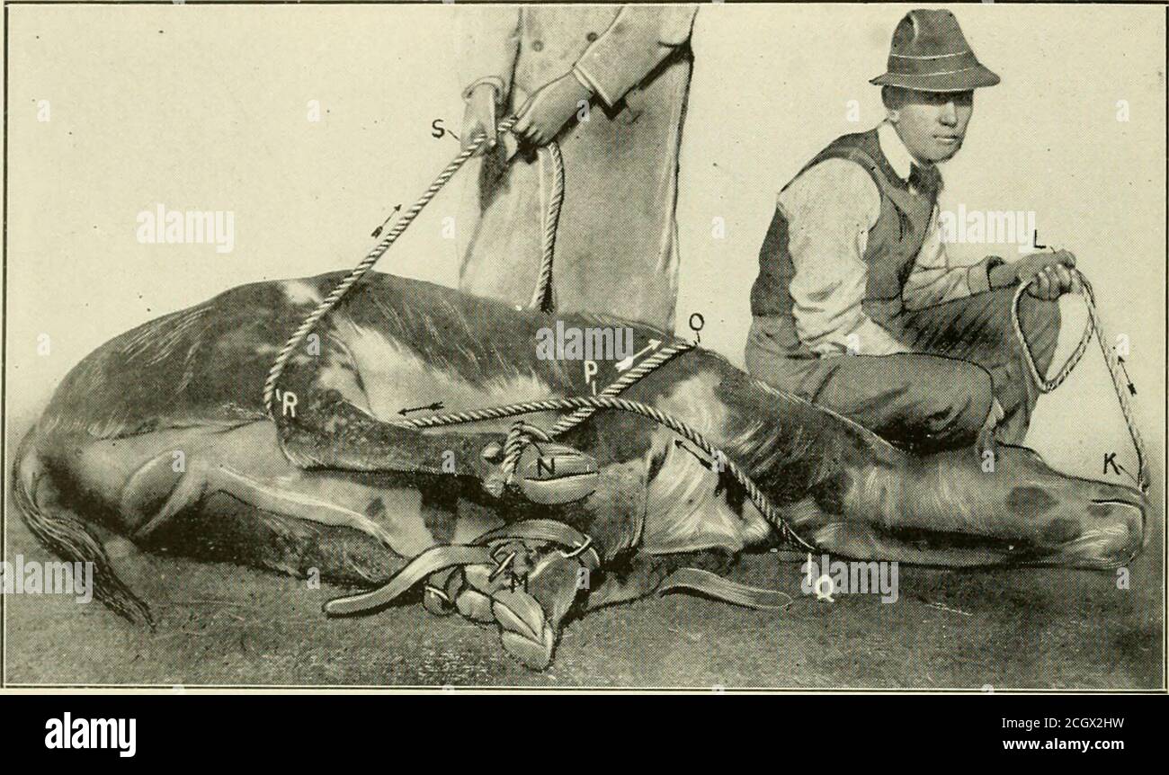 Self castration -Fotos und -Bildmaterial in hoher Auflösung – Alamy