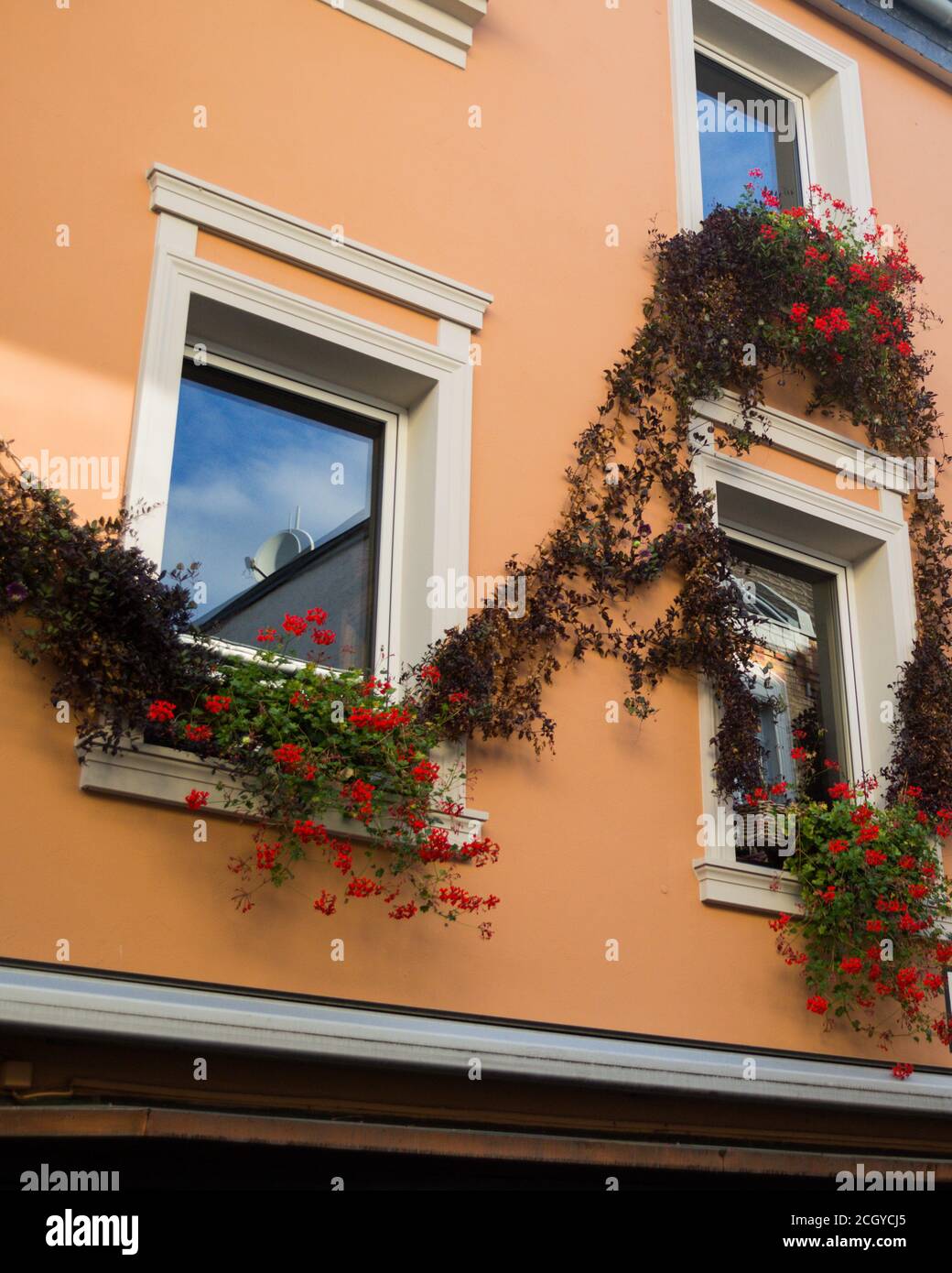 Traditionelles deutsches Haus mit Fenster mit Blumentöpfen in Ahrweiler ...