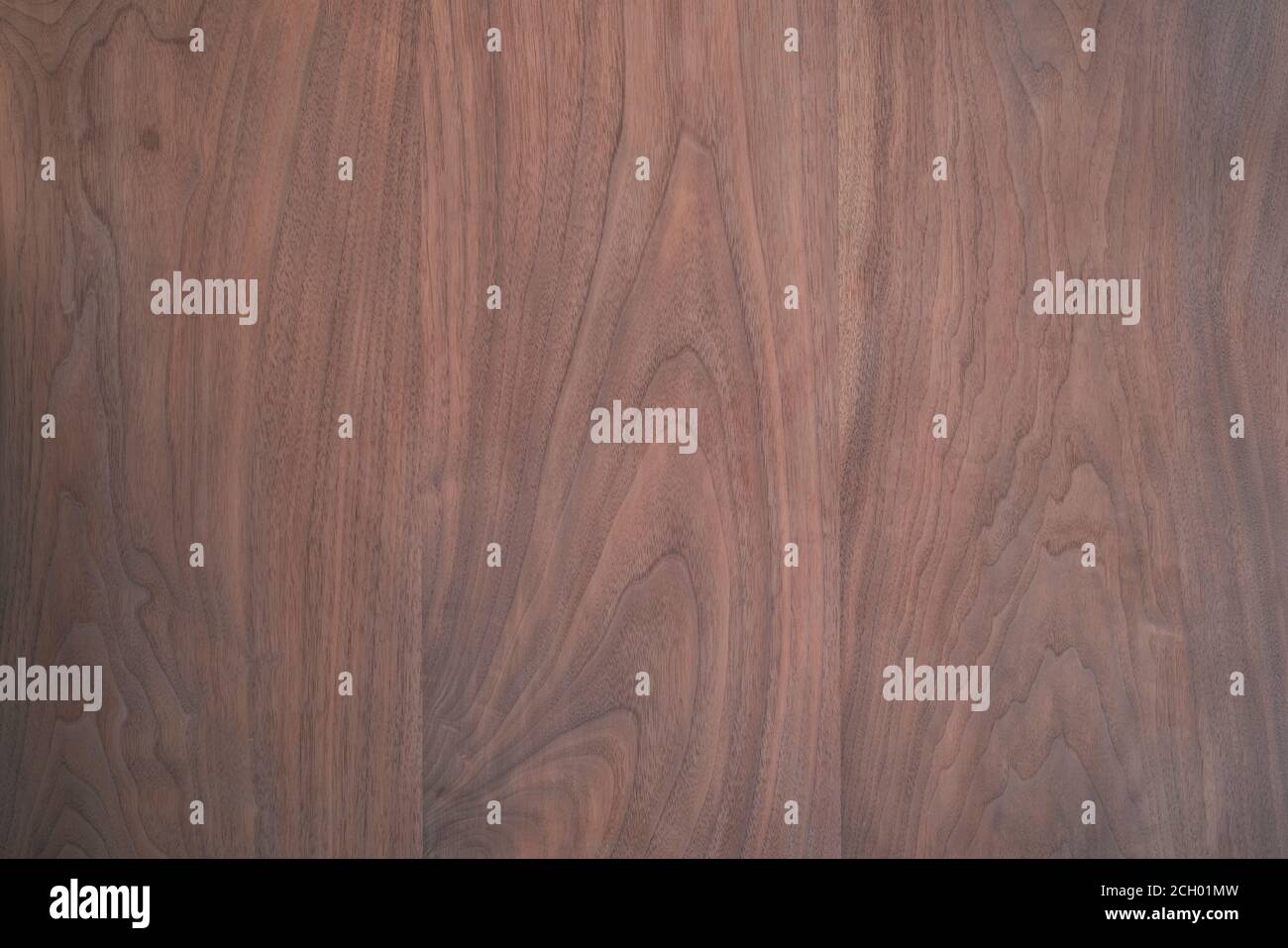 Schwarzes walnussholz schneiden -Fotos und -Bildmaterial in hoher ...