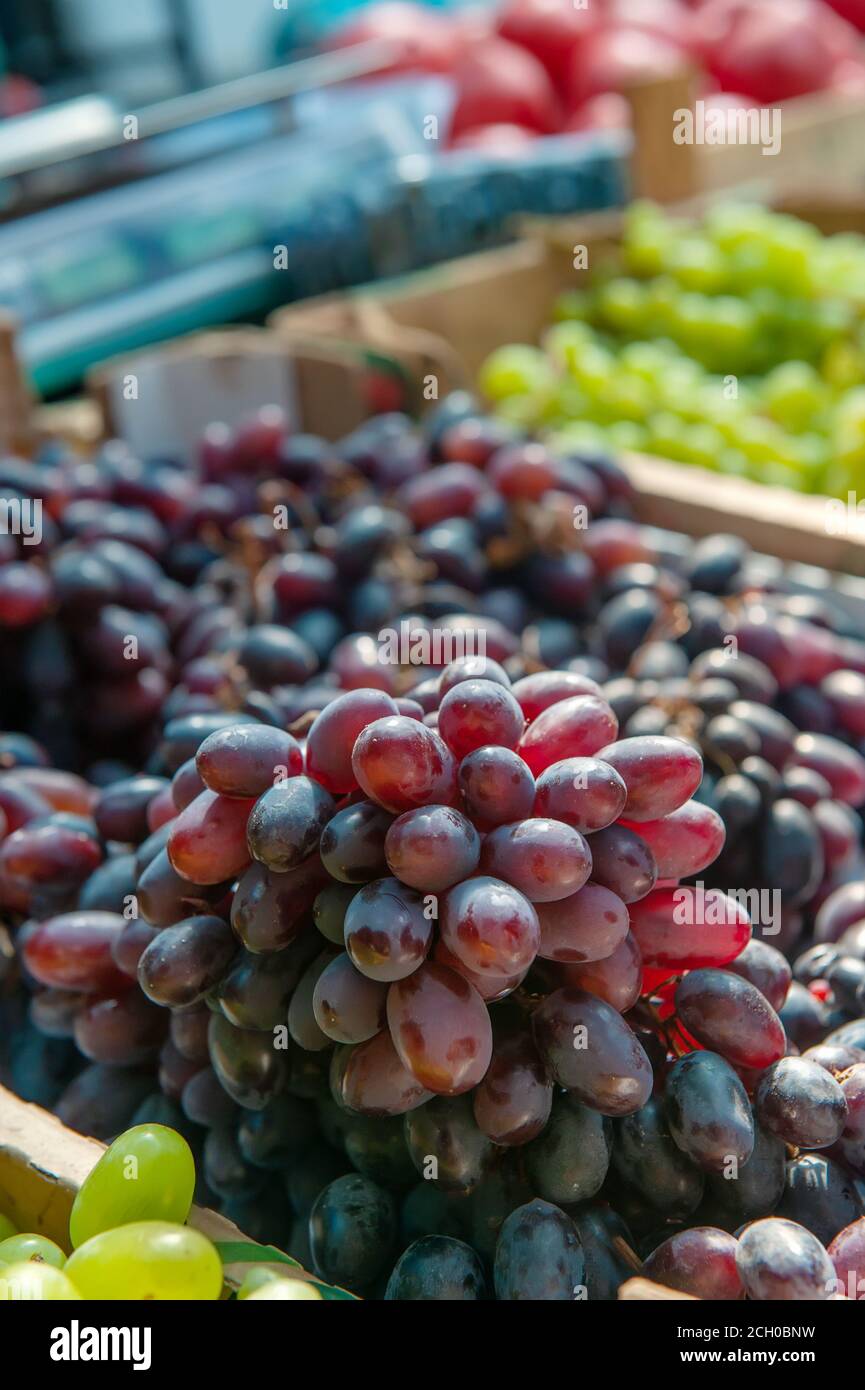 Frische Rote Traube Stockfotos und -bilder Kaufen - Alamy