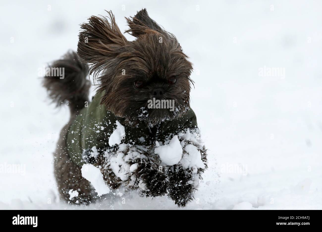 Evie andrew Stockfotos und -bilder Kaufen - Alamy