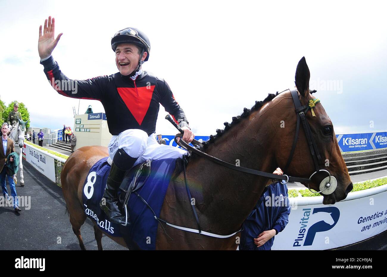 Jockey shane foley feiert -Fotos und -Bildmaterial in hoher Auflösung ...