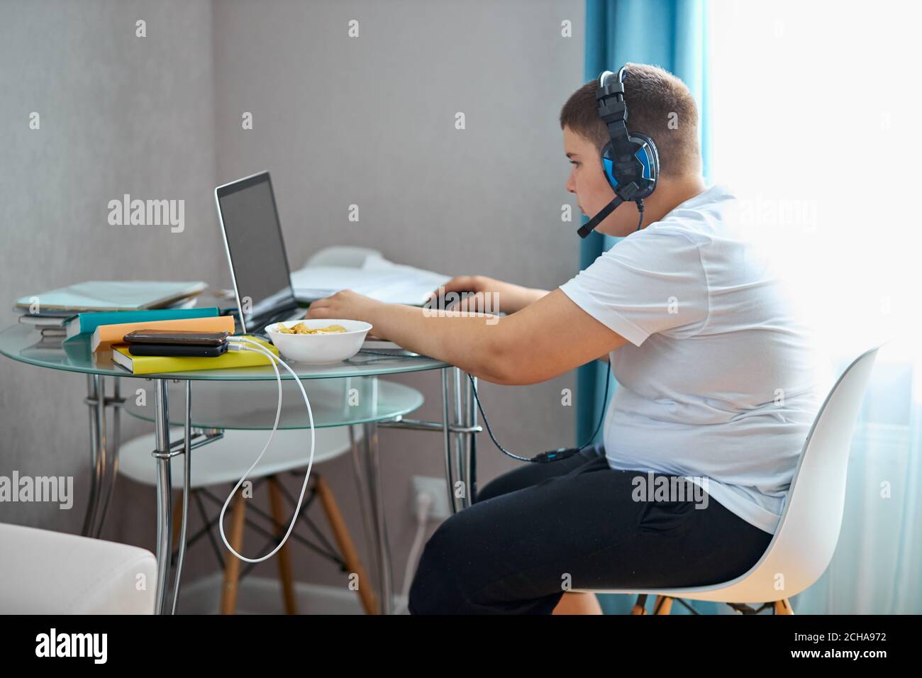 Fat Kid On Computer : Fat Kid Computer High Resolution Stock ...