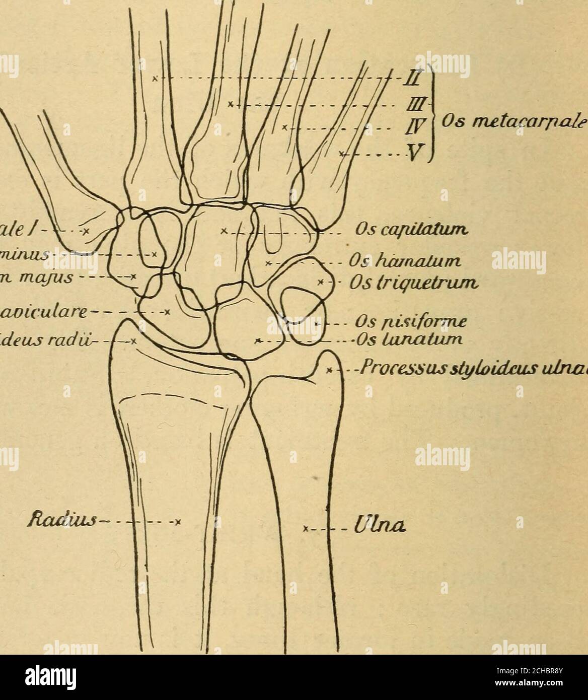 Volare platten -Fotos und -Bildmaterial in hoher Auflösung – Alamy