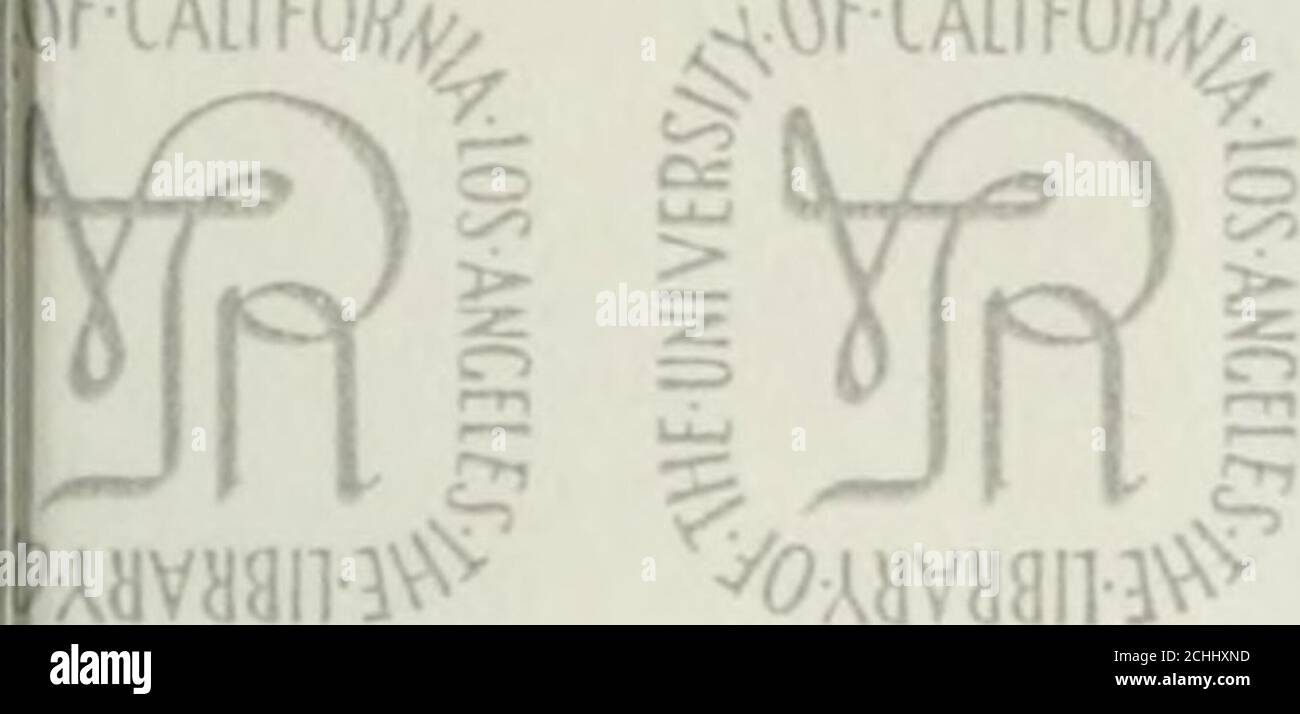 Elisabeth rath -Fotos und -Bildmaterial in hoher Auflösung – Alamy