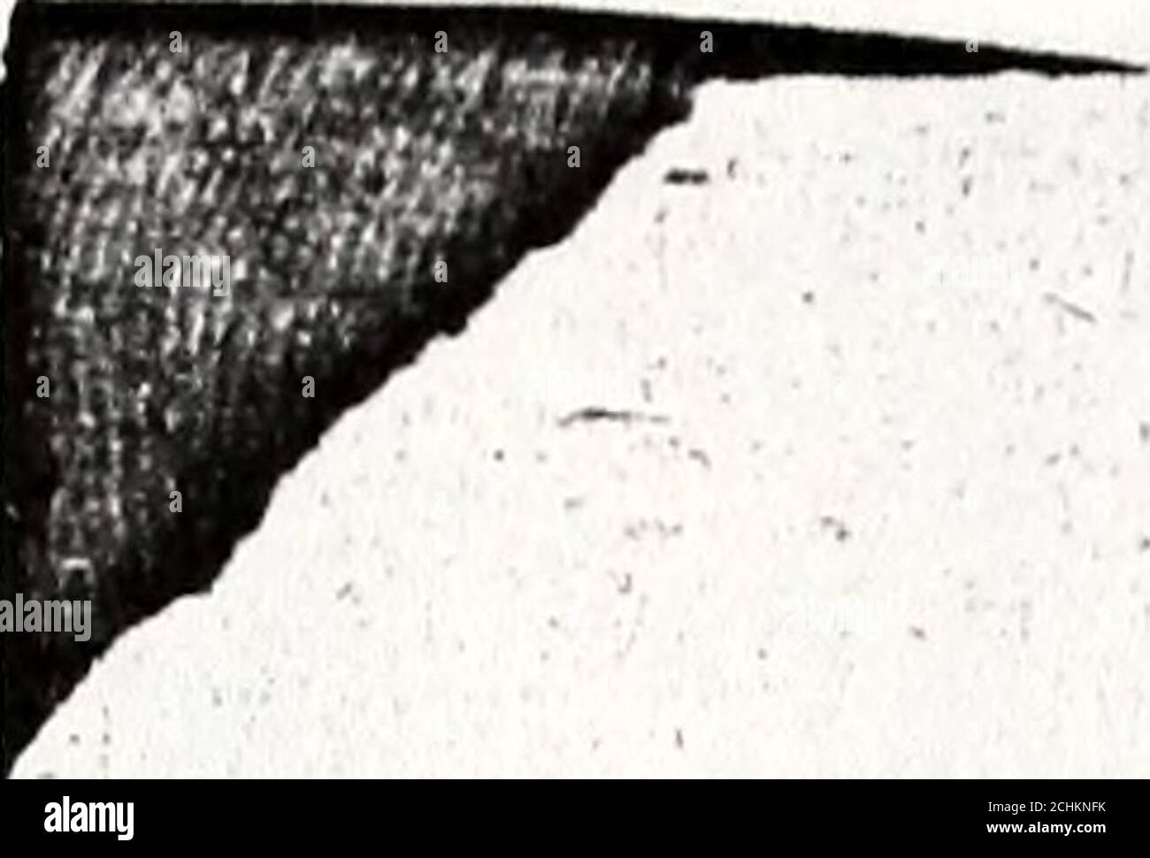 Alex hoag -Fotos und -Bildmaterial in hoher Auflösung – Alamy