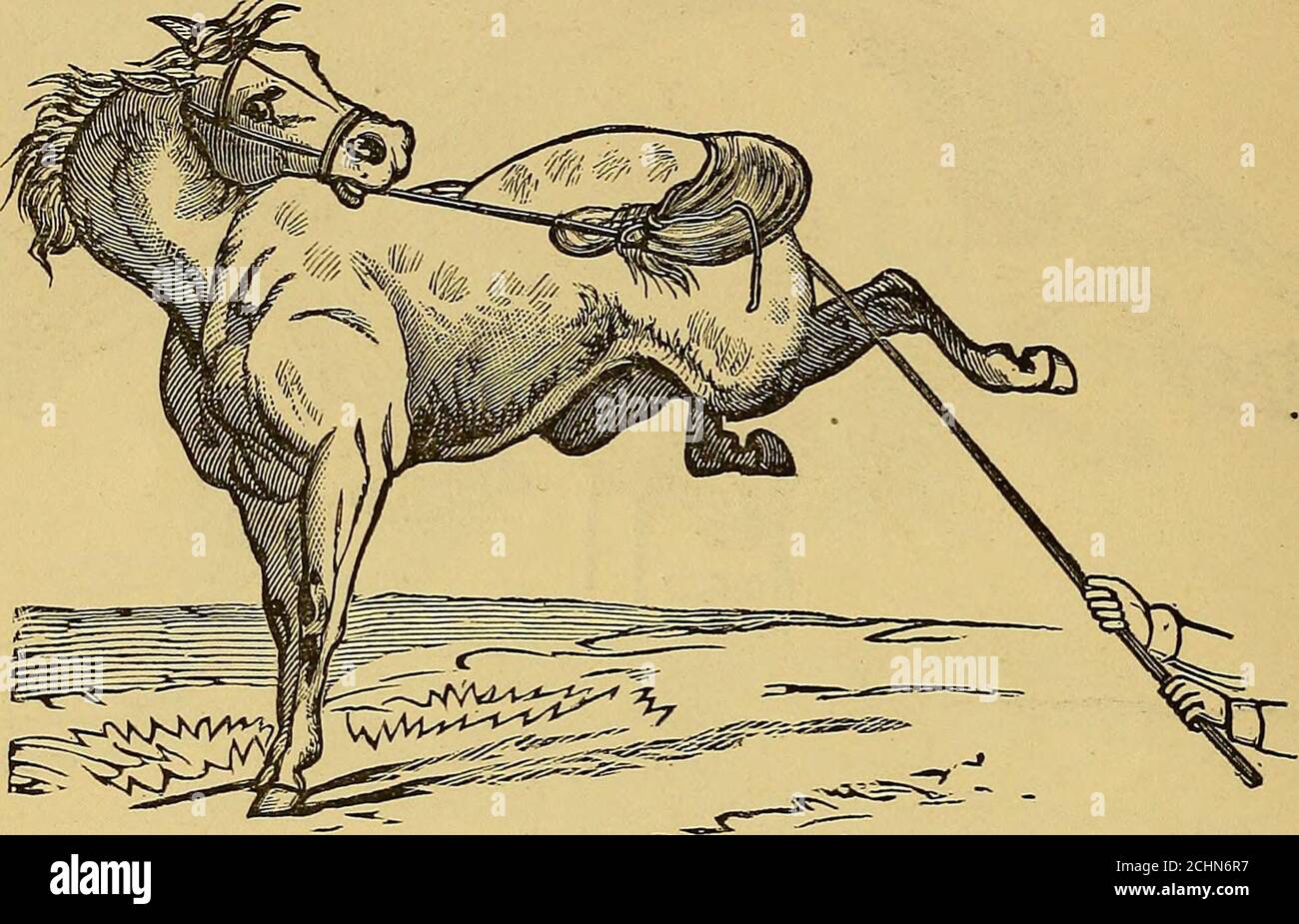 Erfolgreich treten -Fotos und -Bildmaterial in hoher Auflösung – Alamy