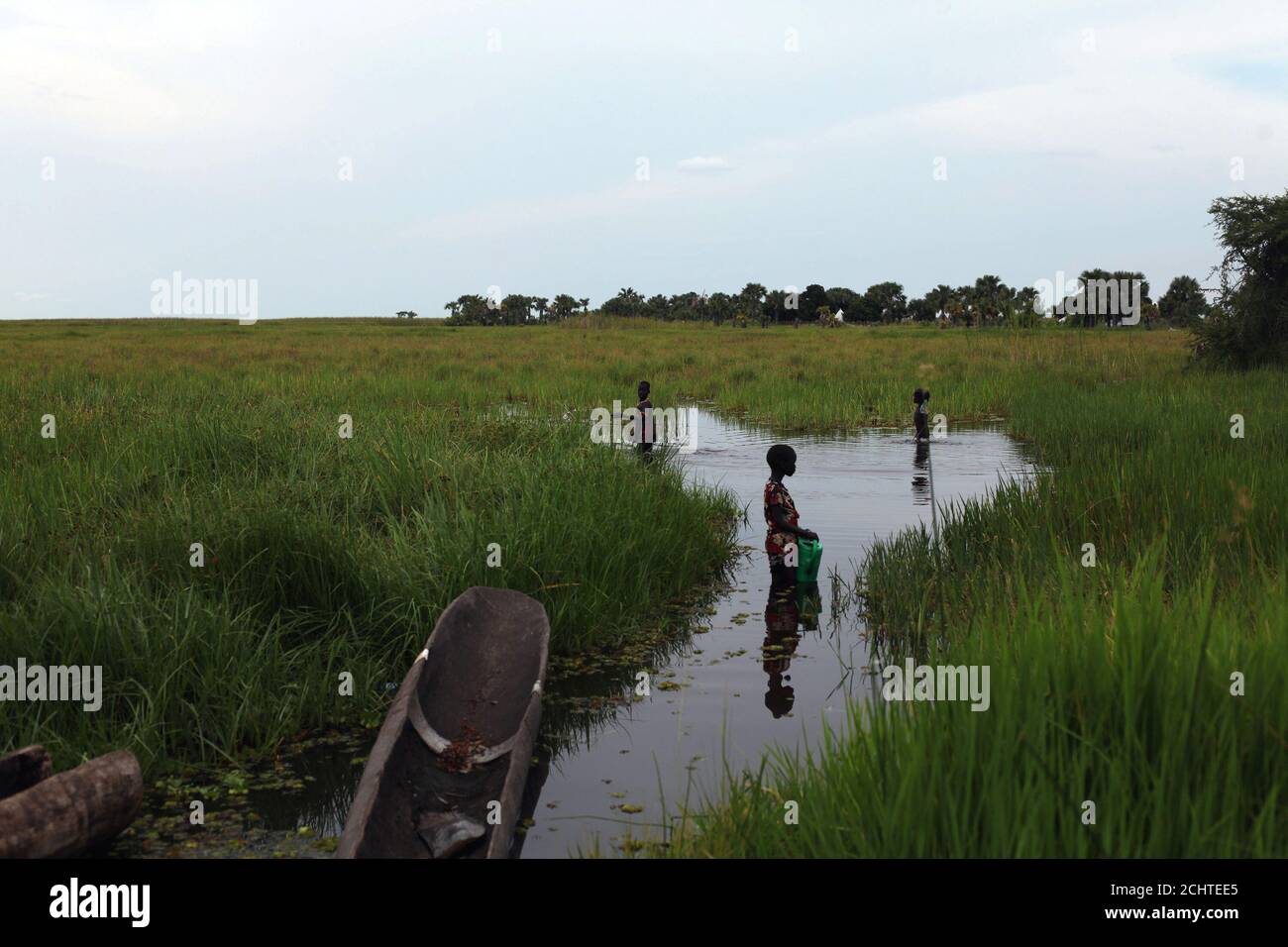 Sudd Sumpf Stockfotos und -bilder Kaufen - Alamy