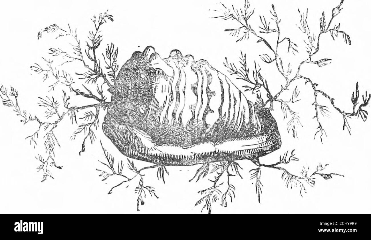 Robert erbe Schwarzweiß-Stockfotos und -bilder - Alamy