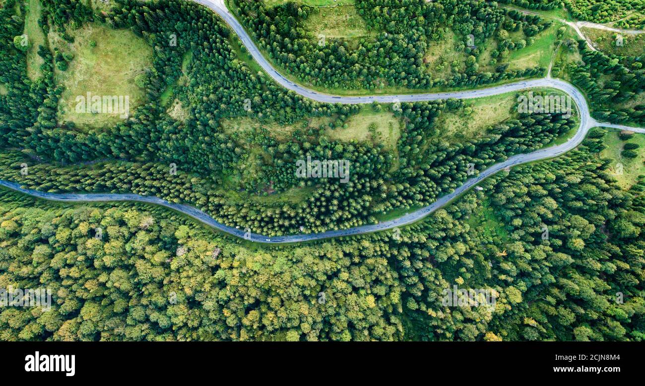 Die Straße im Wald wurde aus der Vogelperspektive aufgenommen ...