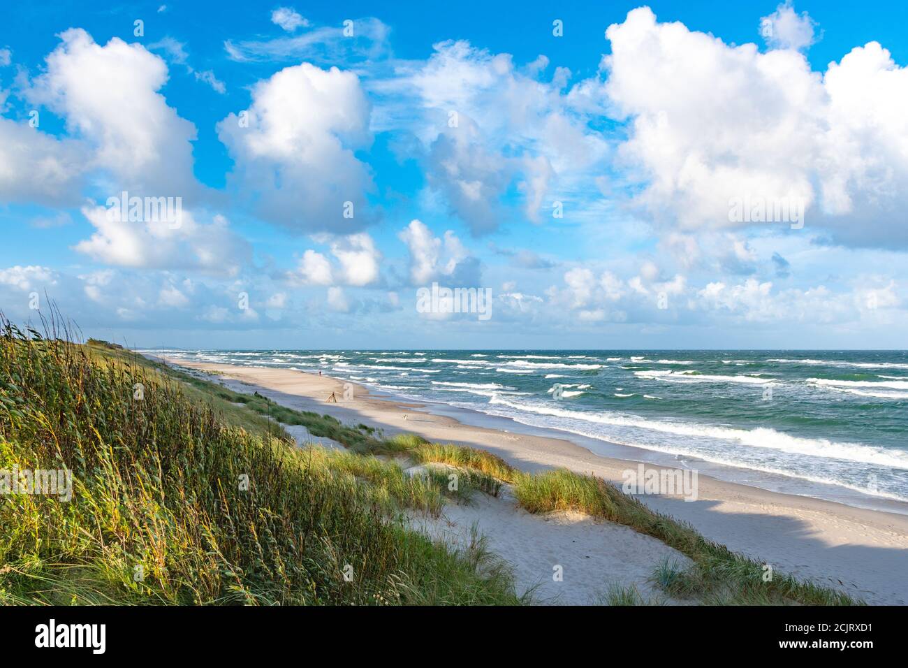 Trockenes schilf im winter -Fotos und -Bildmaterial in hoher Auflösung ...