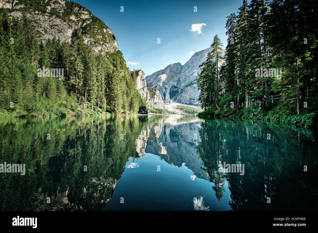 Alberi lago di montagna -Fotos und -Bildmaterial in hoher Auflösung – Alamy