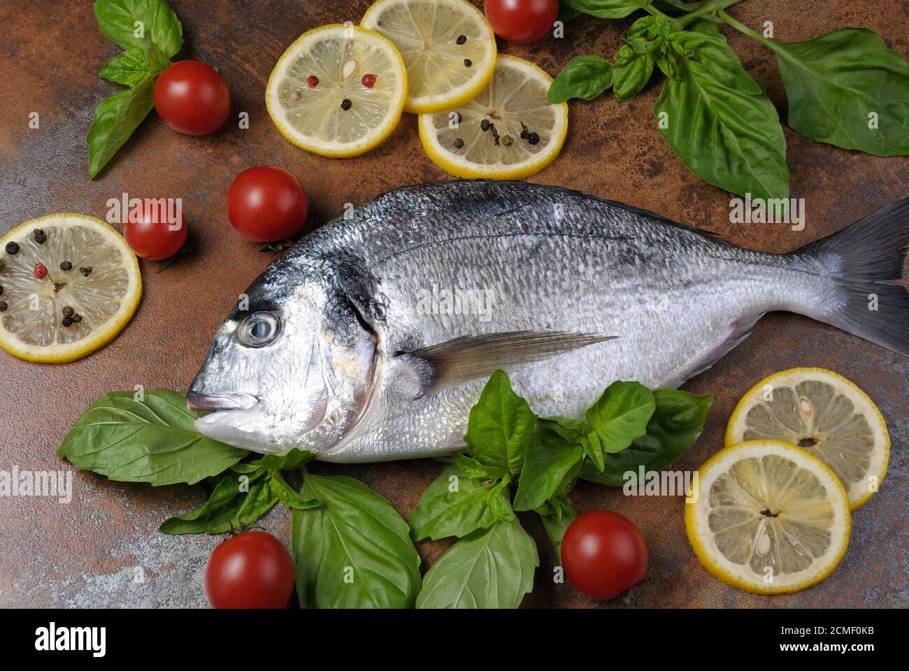Fischfische horizontal -Fotos und -Bildmaterial in hoher Auflösung – Alamy