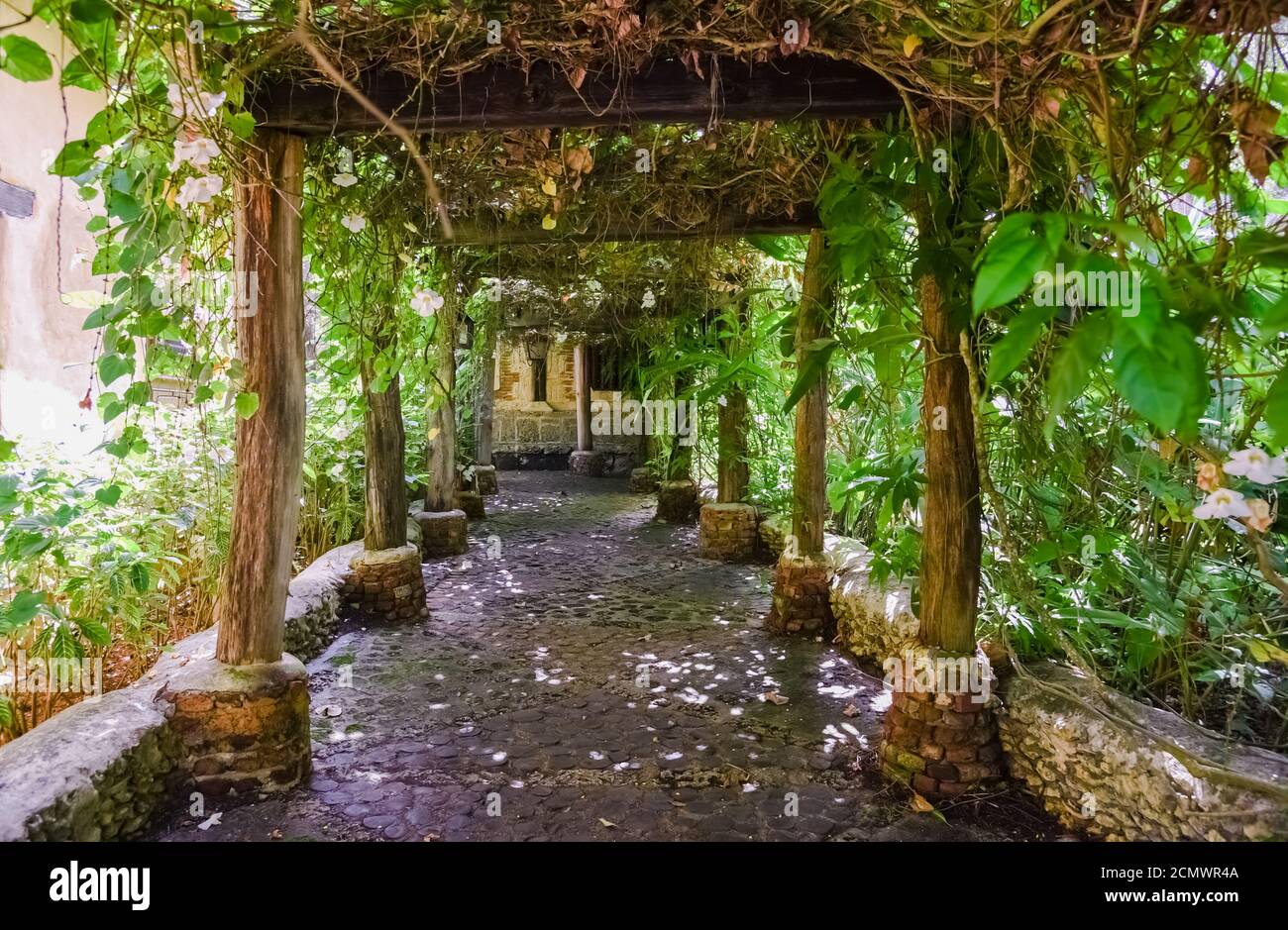 Efeu gitter -Fotos und -Bildmaterial in hoher Auflösung – Alamy