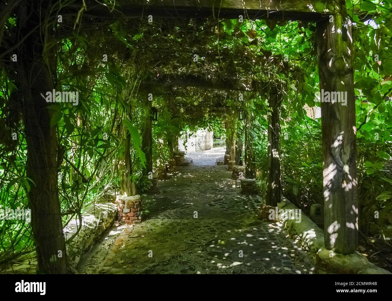 Efeu gitter -Fotos und -Bildmaterial in hoher Auflösung – Alamy