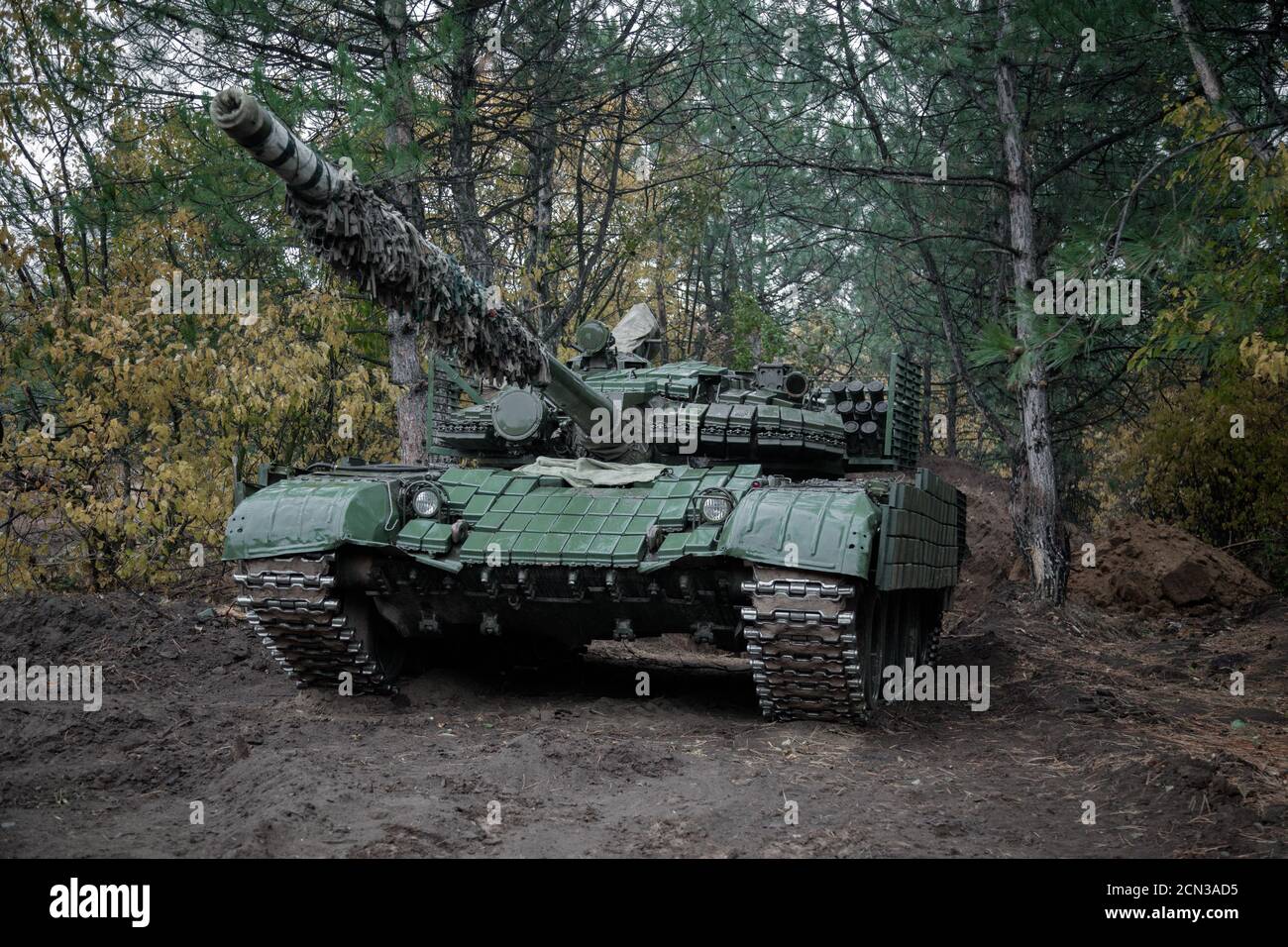 Panzer im wald tarnung -Fotos und -Bildmaterial in hoher Auflösung – Alamy