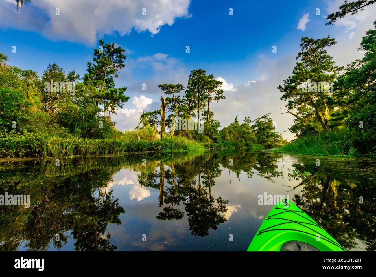 The bayou -Fotos und -Bildmaterial in hoher Auflösung – Alamy