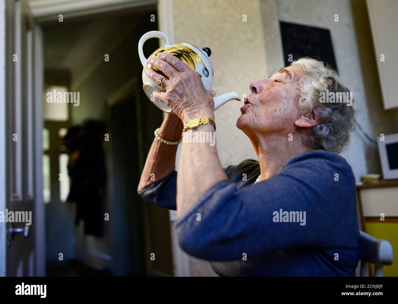 Als Hitler Das Rosa Kaninchen Stahl Stockfotos und -bilder Kaufen - Alamy