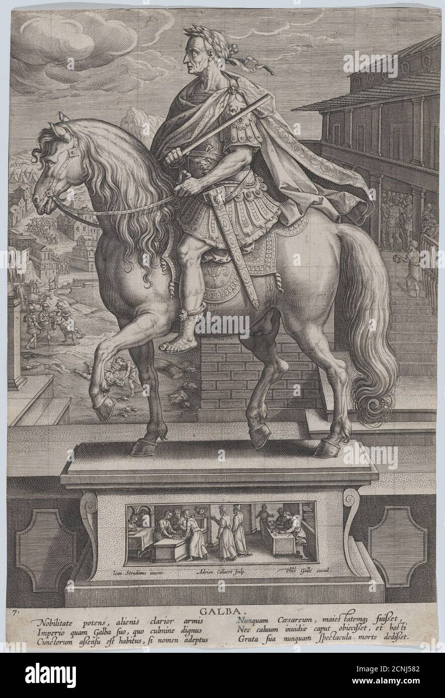 Sempronius densus -Fotos und -Bildmaterial in hoher Auflösung – Alamy