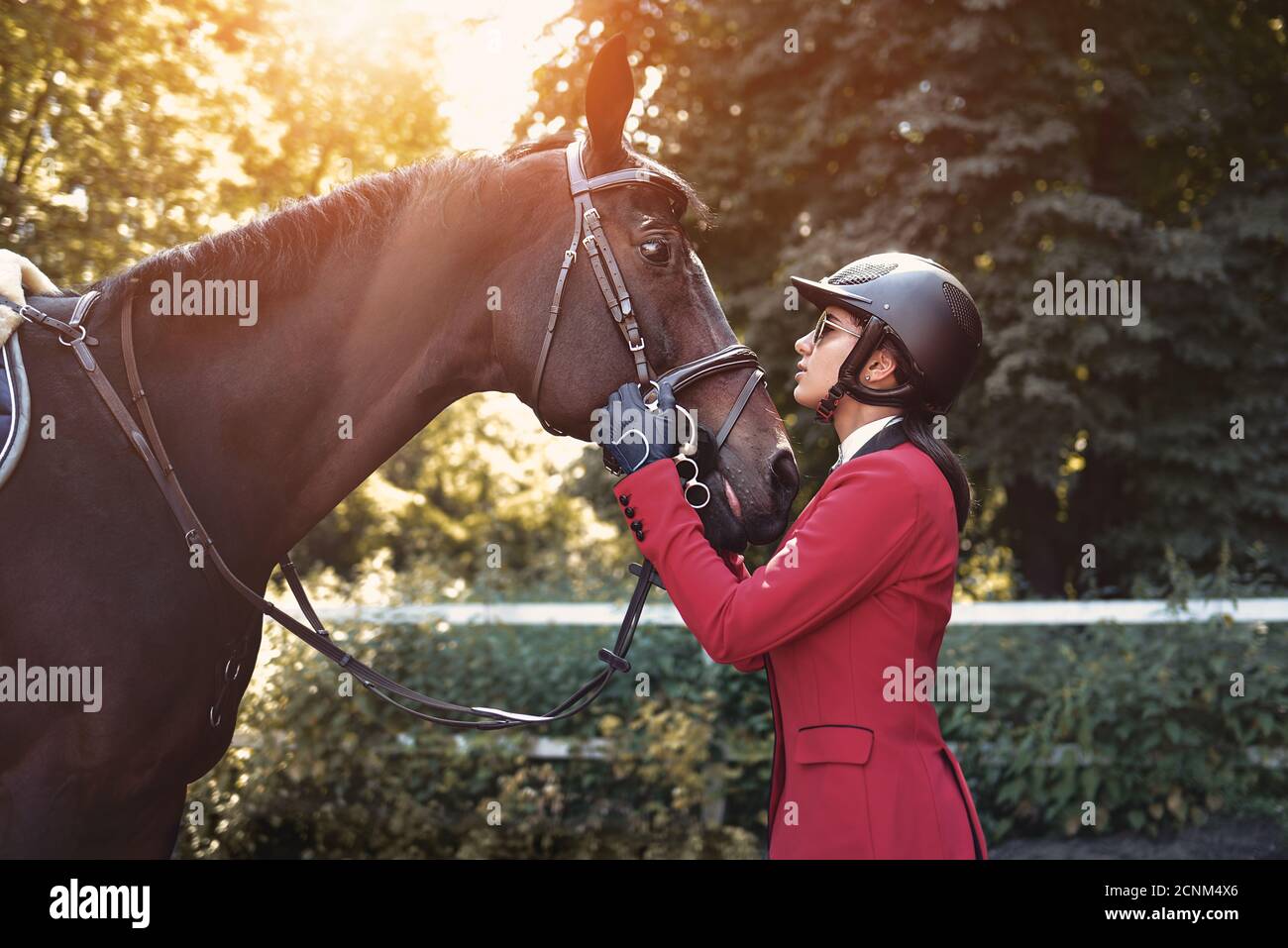 Hübsche reiterin pferd -Fotos und -Bildmaterial in hoher Auflösung – Alamy