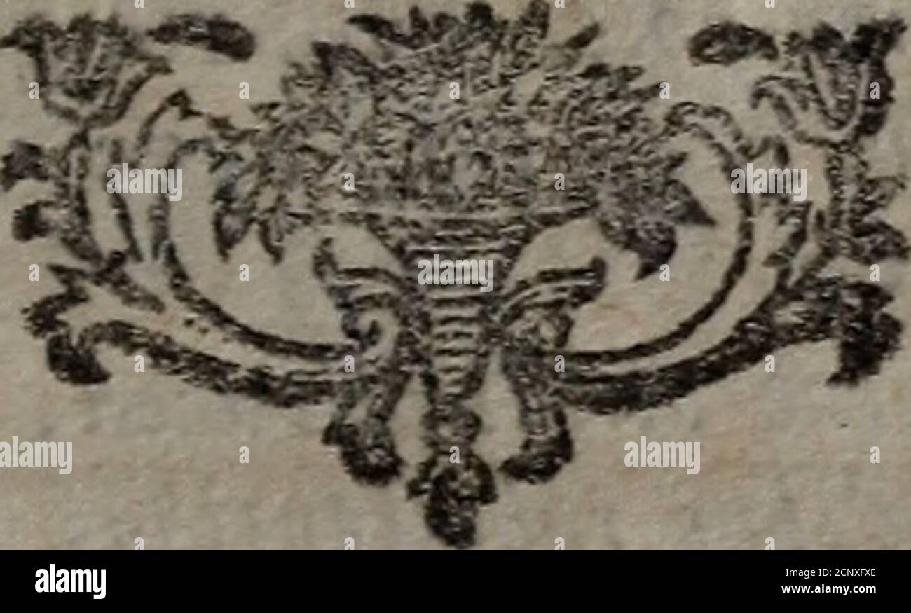 . Histoire naturelle des oiseaux . ailes font dun vert dolive ...