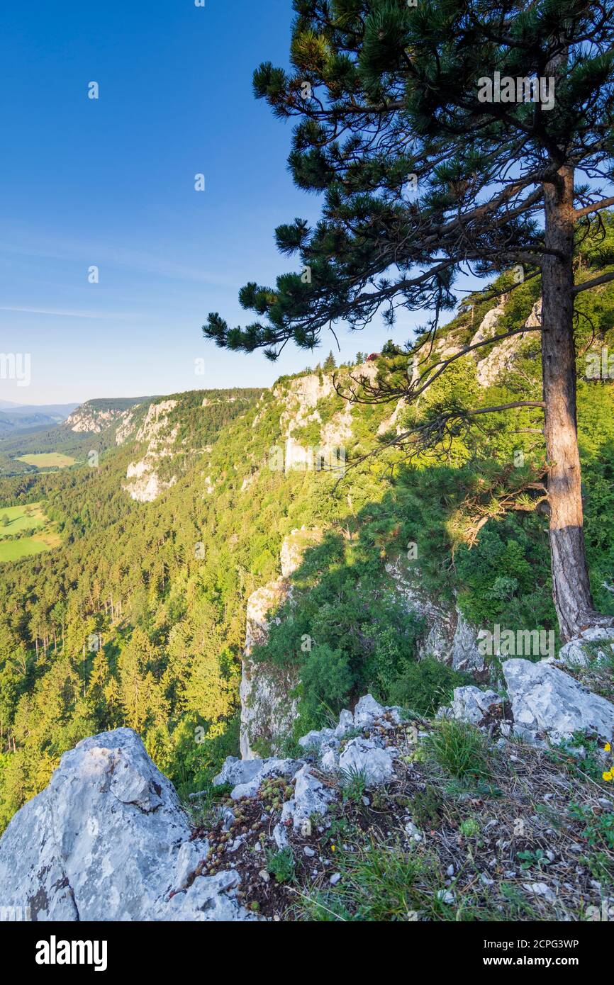 Naturpark hohe Wand, Berg hohe Wand, Blick auf Aussichtsplattform ...