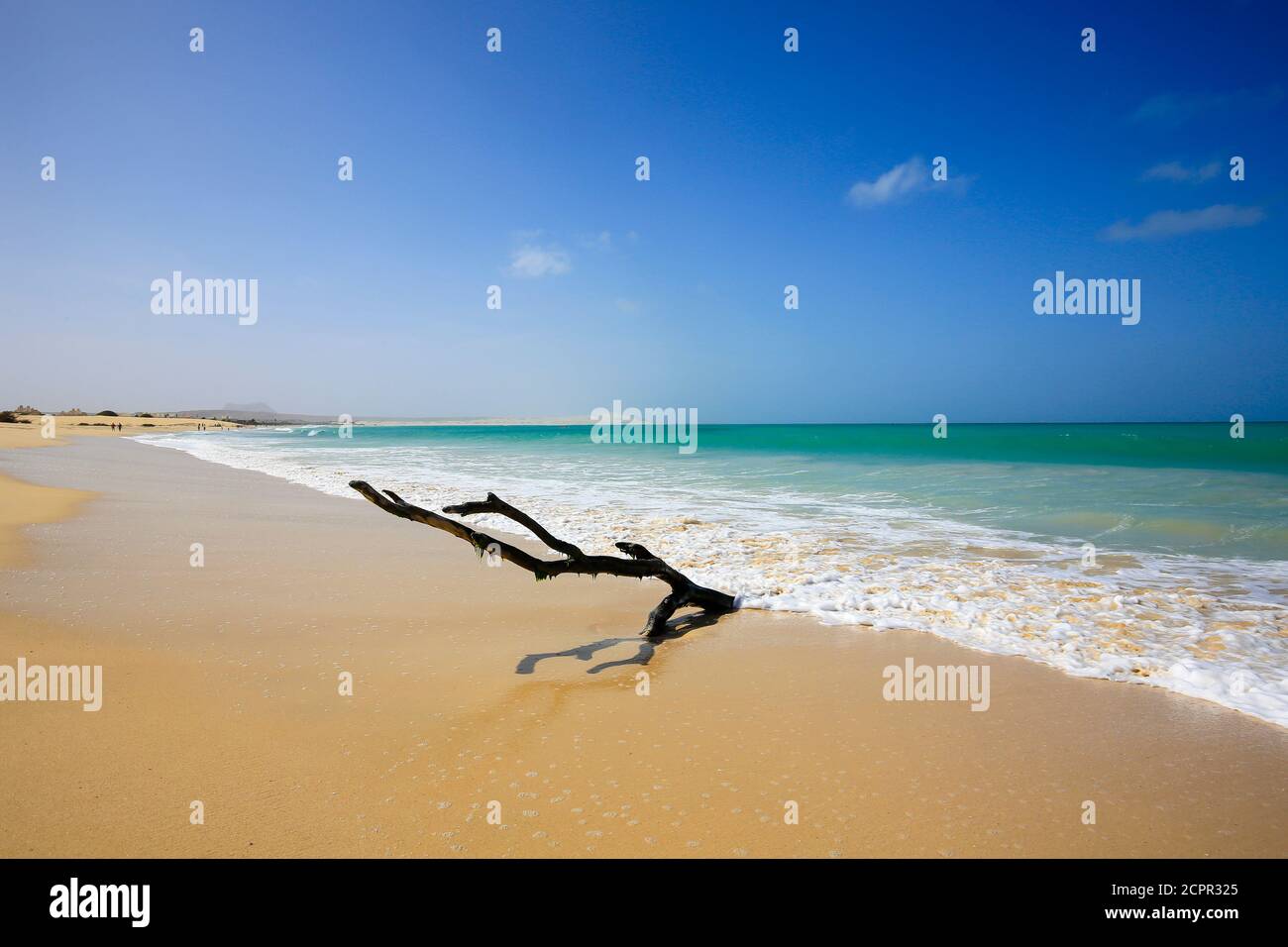 Sal Rei, Boa Vista, Kap Verde - Praia de Chaves, Totholz am Sandstrand ...