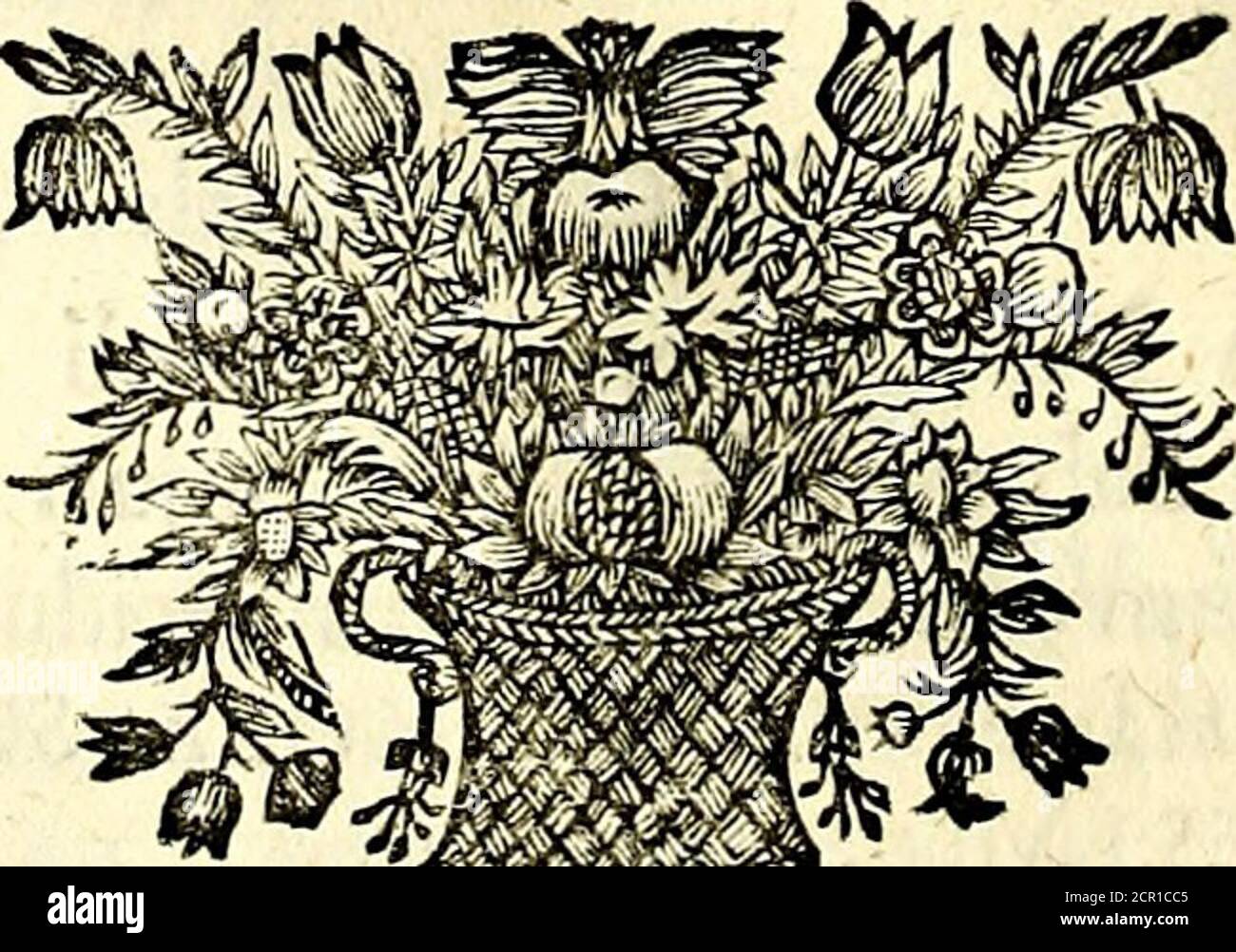 Spina ii -Fotos und -Bildmaterial in hoher Auflösung – Alamy