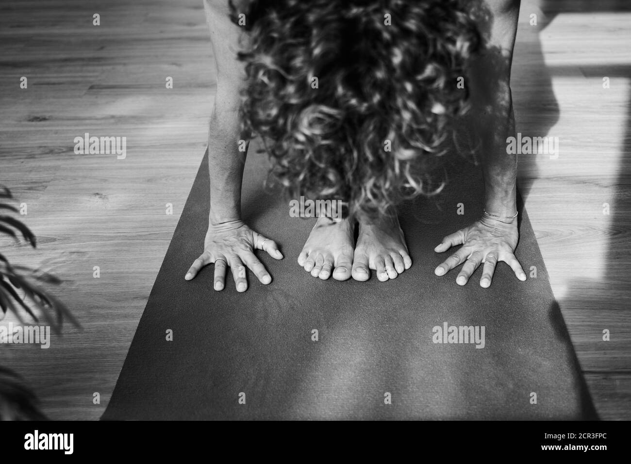 Yoga forward bend feet hands -Fotos und -Bildmaterial in hoher ...