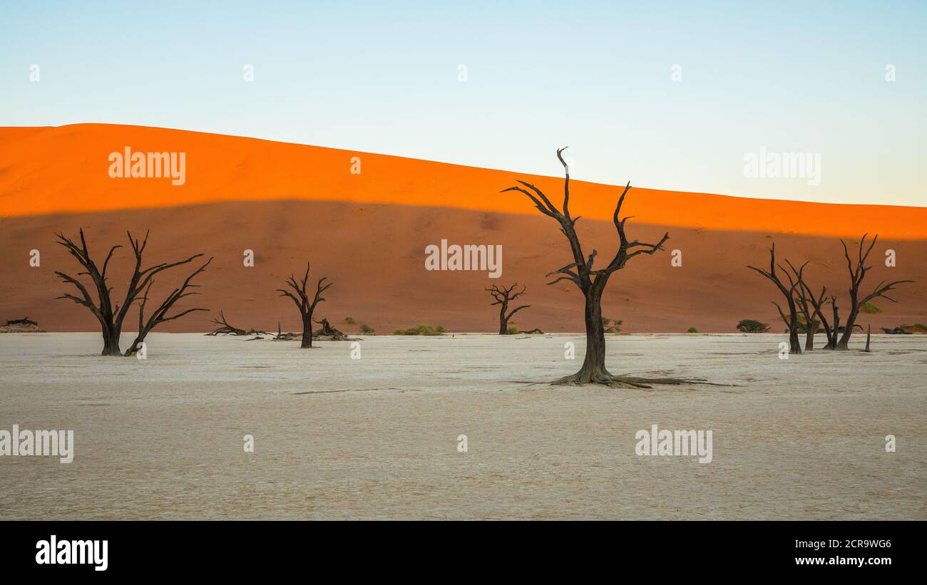 Salt desert -Fotos und -Bildmaterial in hoher Auflösung – Alamy