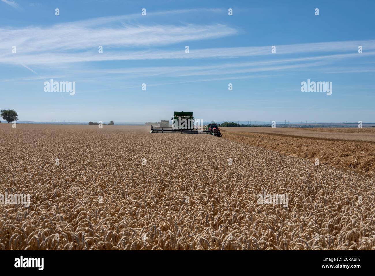 Den weizen ernten -Fotos und -Bildmaterial in hoher Auflösung – Alamy