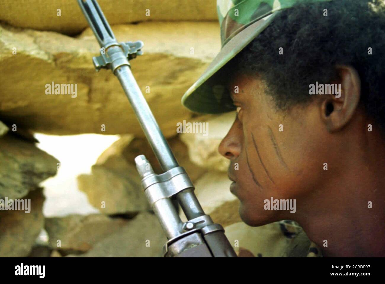 Ethiopia eritrea eritrean soldier -Fotos und -Bildmaterial in hoher ...