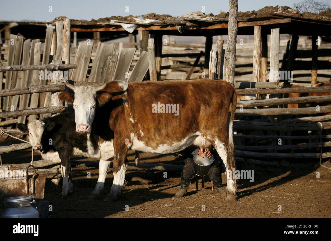 Family farm in siberia russia -Fotos und -Bildmaterial in hoher ...