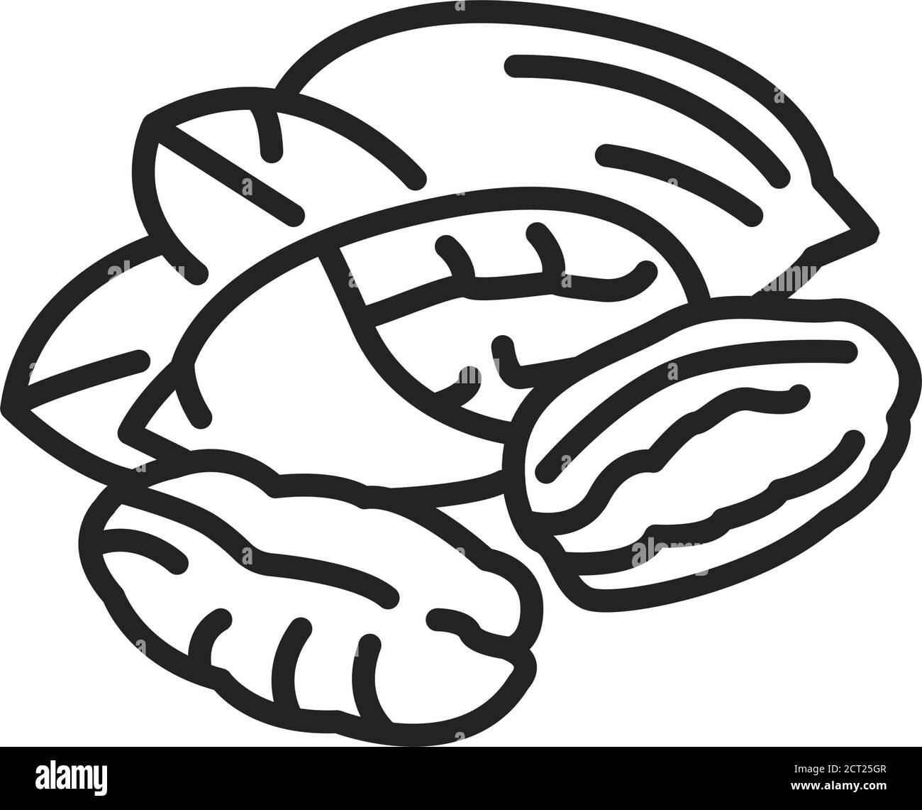 Pekan nut Stock-Vektorgrafiken kaufen - Alamy