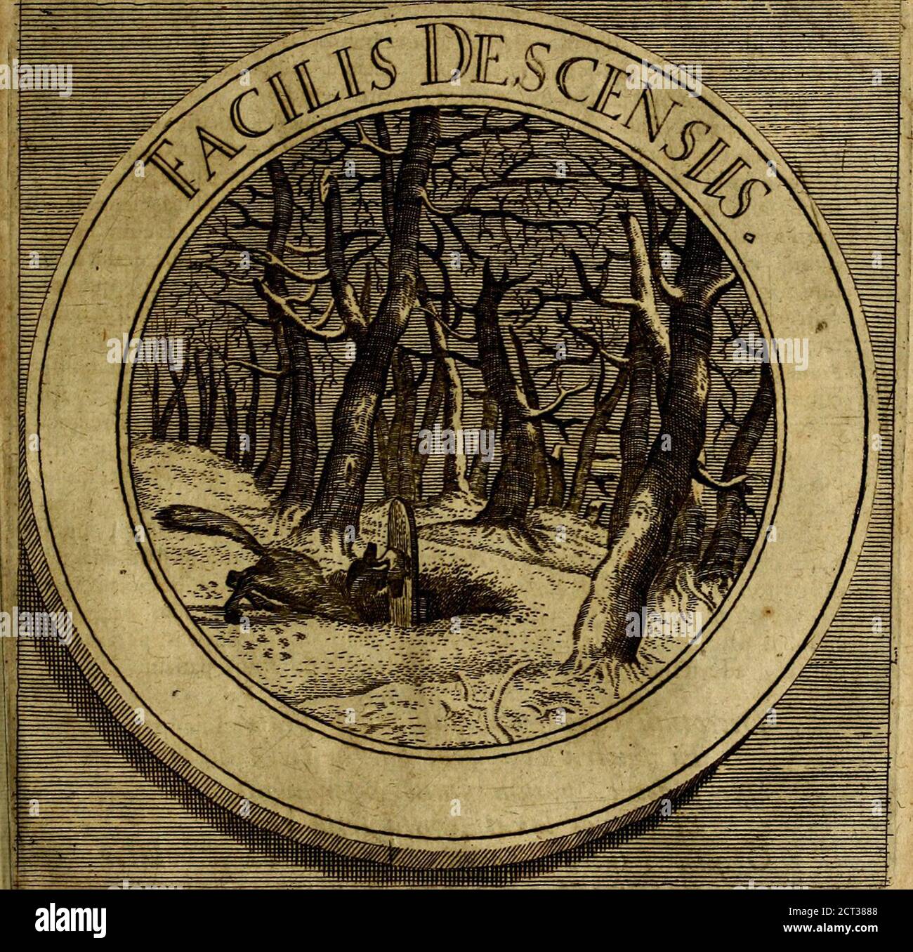 Vir prudens -Fotos und -Bildmaterial in hoher Auflösung – Alamy