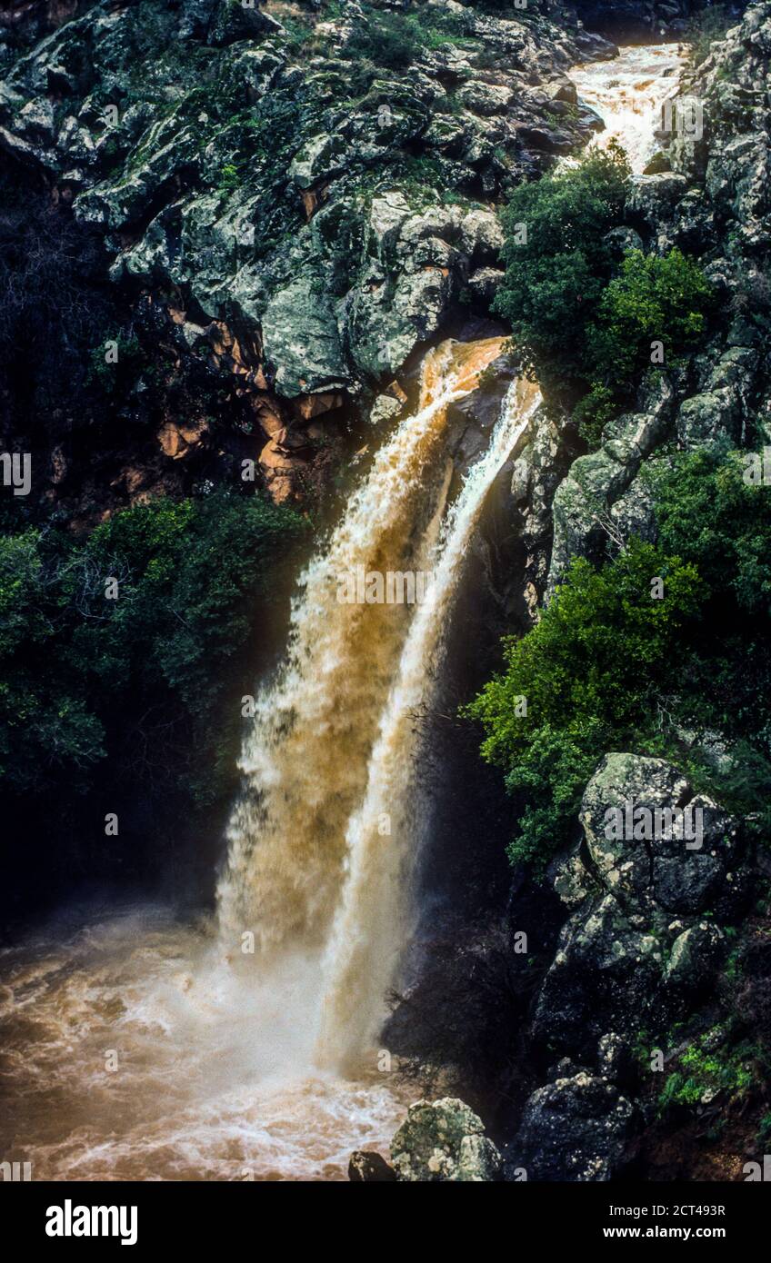 Golan wasser -Fotos und -Bildmaterial in hoher Auflösung – Alamy