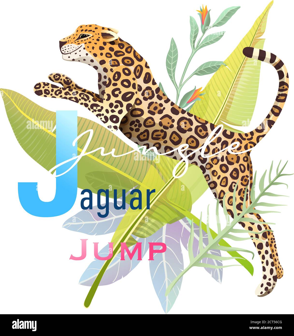 Tier ABC Buchstabe J ist für Jaguar Jungle Jump Stock-Vektorgrafik - Alamy