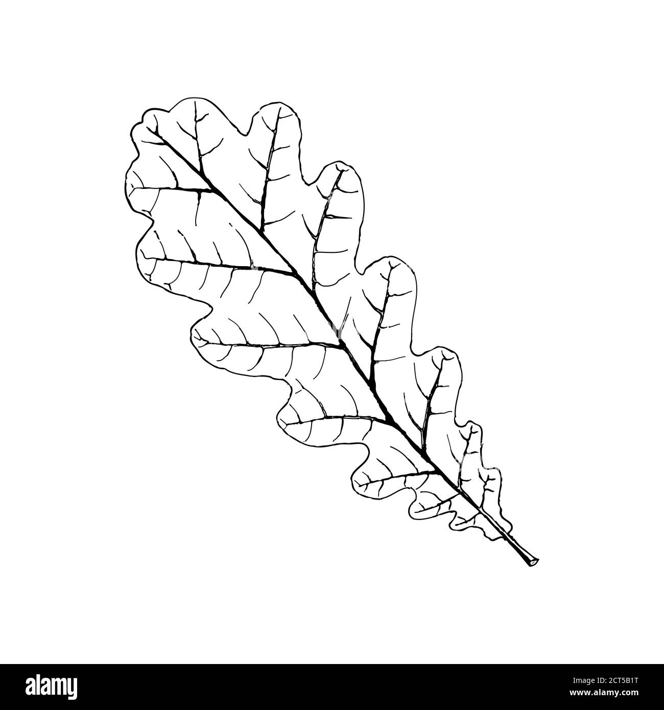 Black outline single hand drawn -Fotos und -Bildmaterial in hoher Auflösung – Alamy