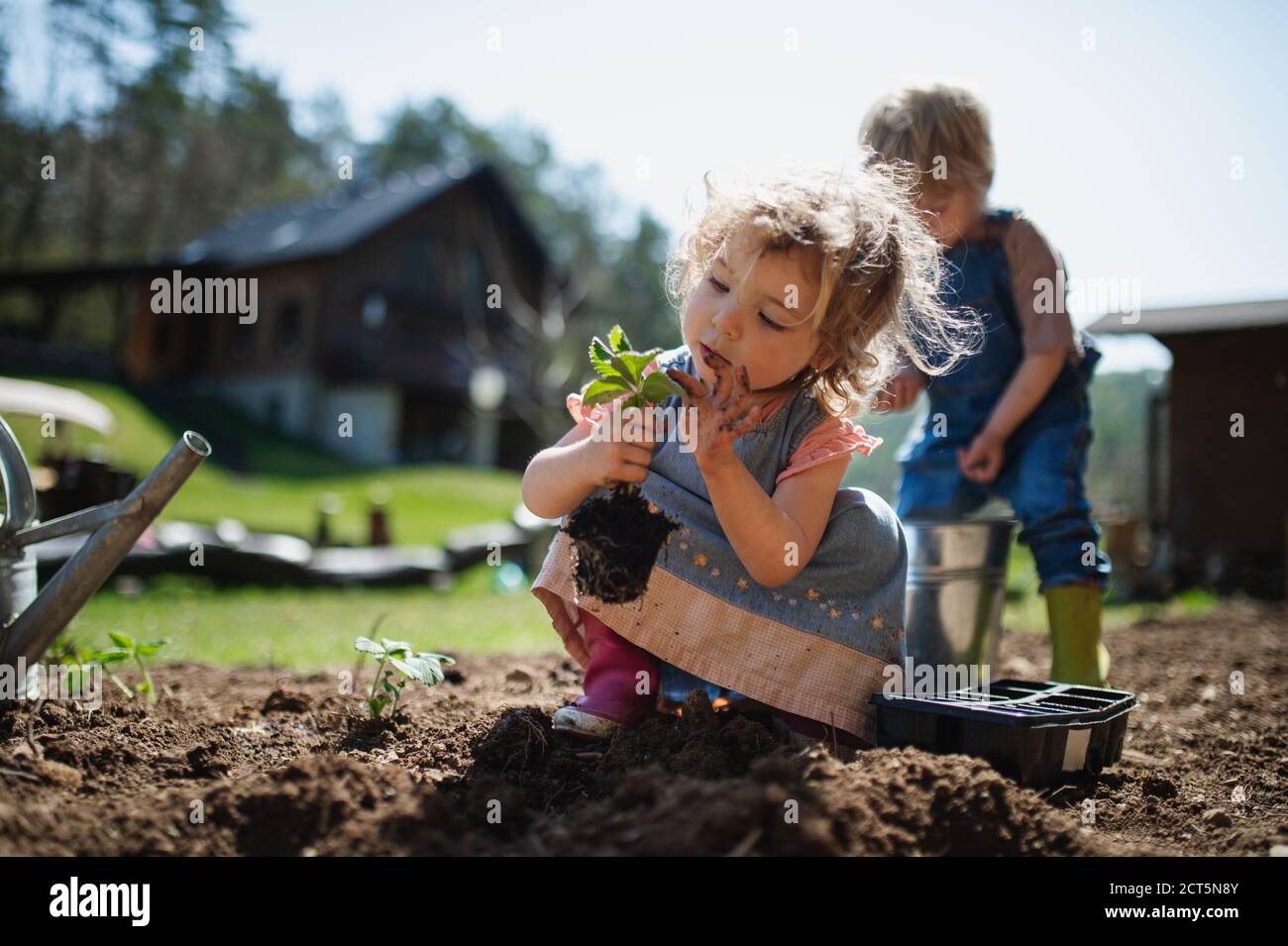 Elternteil, Der Mit Jungen Arbeitet Stockfotos und -bilder Kaufen - Alamy
