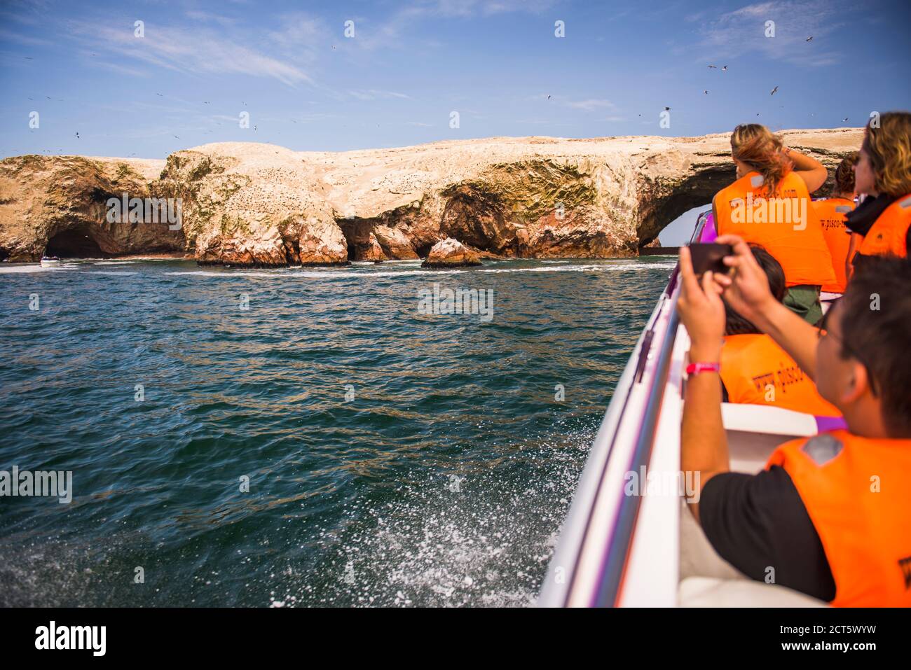 Bootsfahrt zu den Ballestas Inseln (Islas Ballestas), Paracas National ...