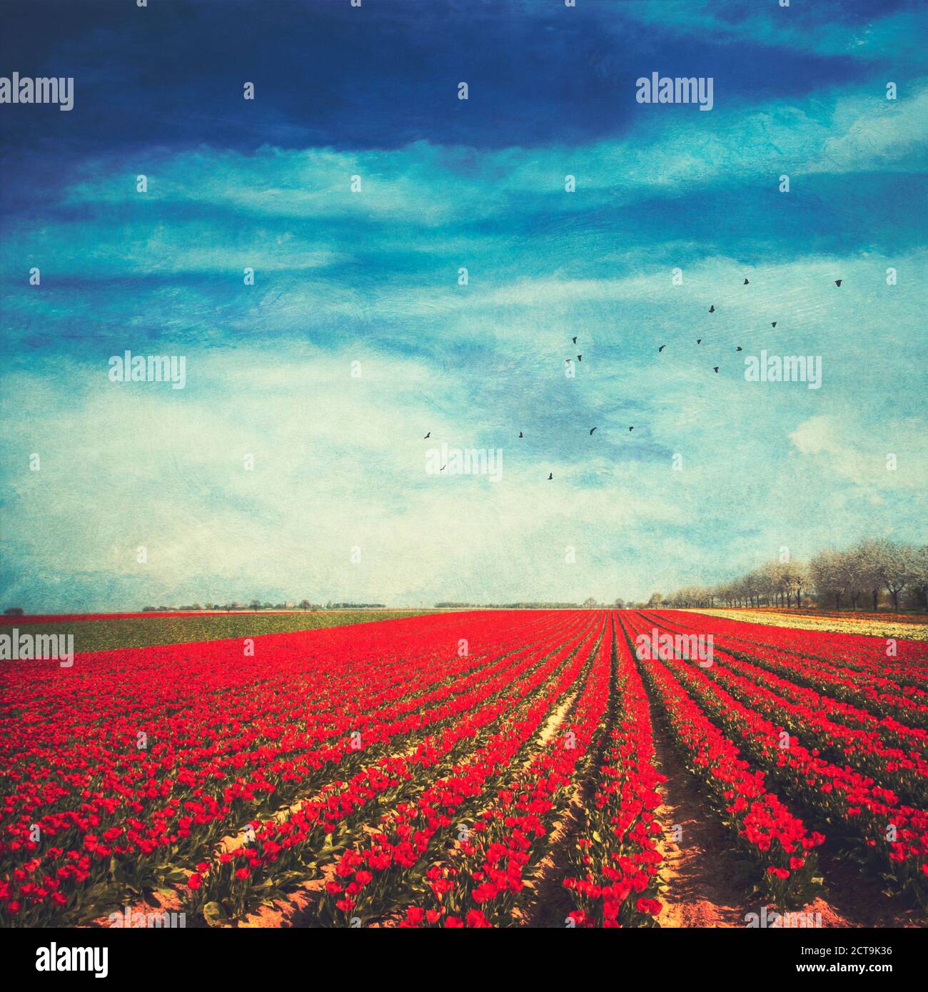 Der entfremdung -Fotos und -Bildmaterial in hoher Auflösung – Alamy