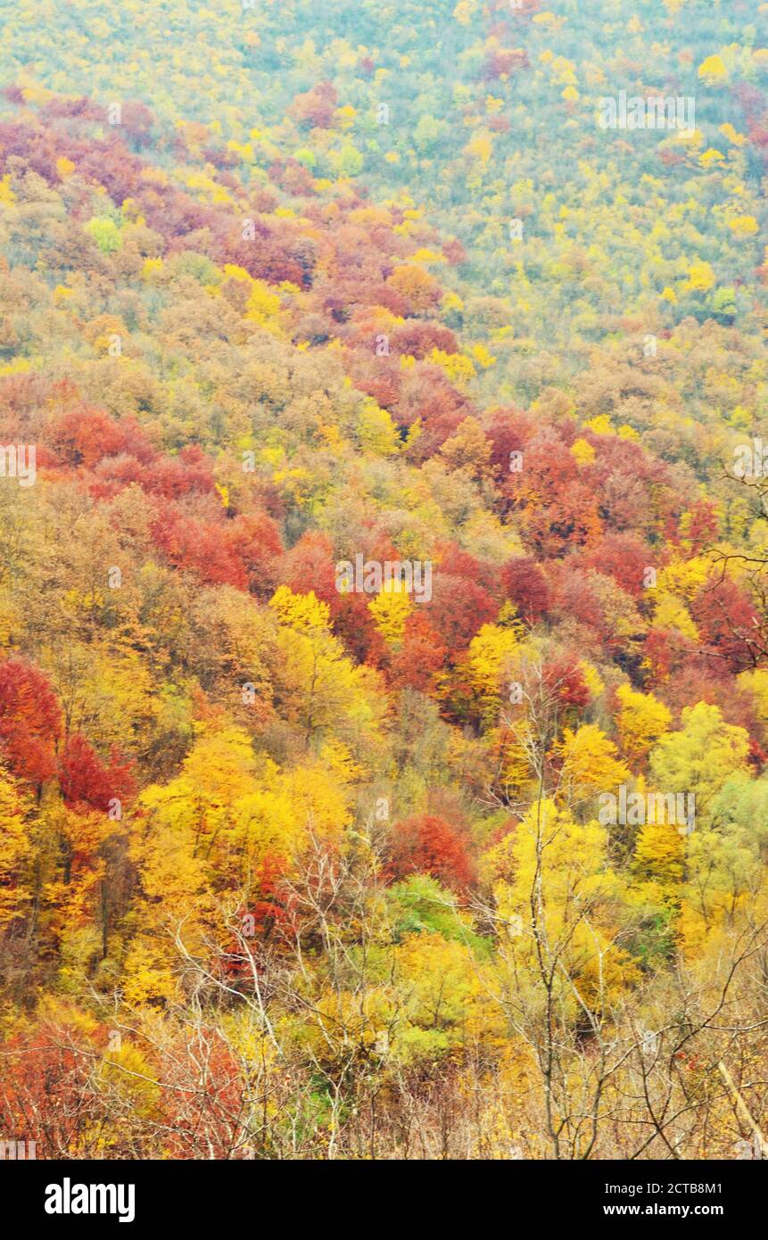 Ig farben -Fotos und -Bildmaterial in hoher Auflösung – Alamy