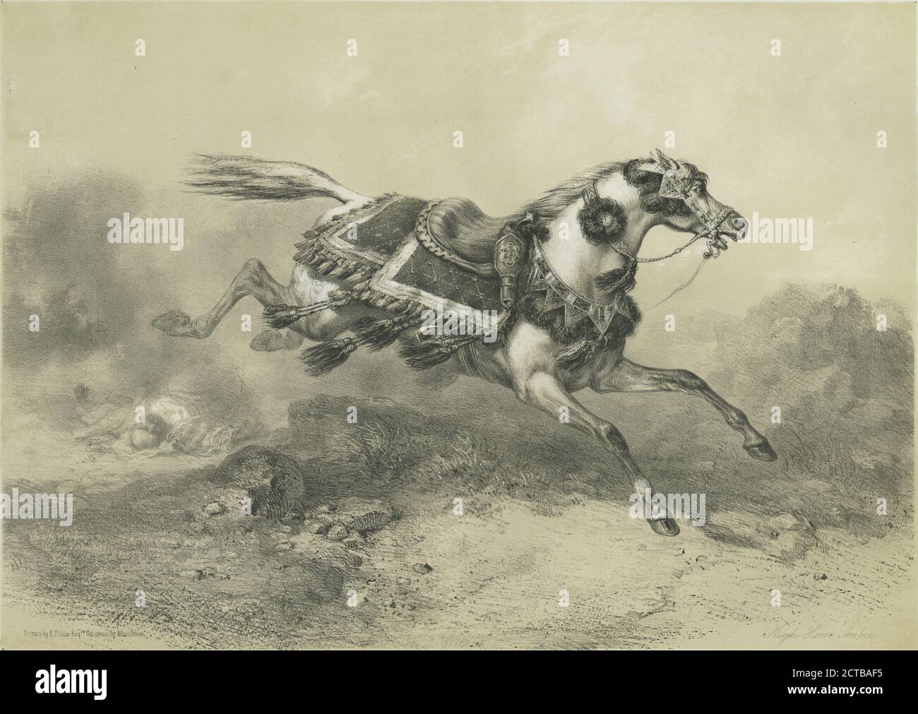 Nejdi Horse. Arabia, still image, Rare Books, 1851, St. John, James Augustus, 1795-1875, Prisse ...